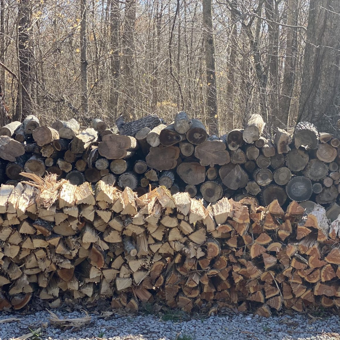 Gallery – Seven Pines River Resort