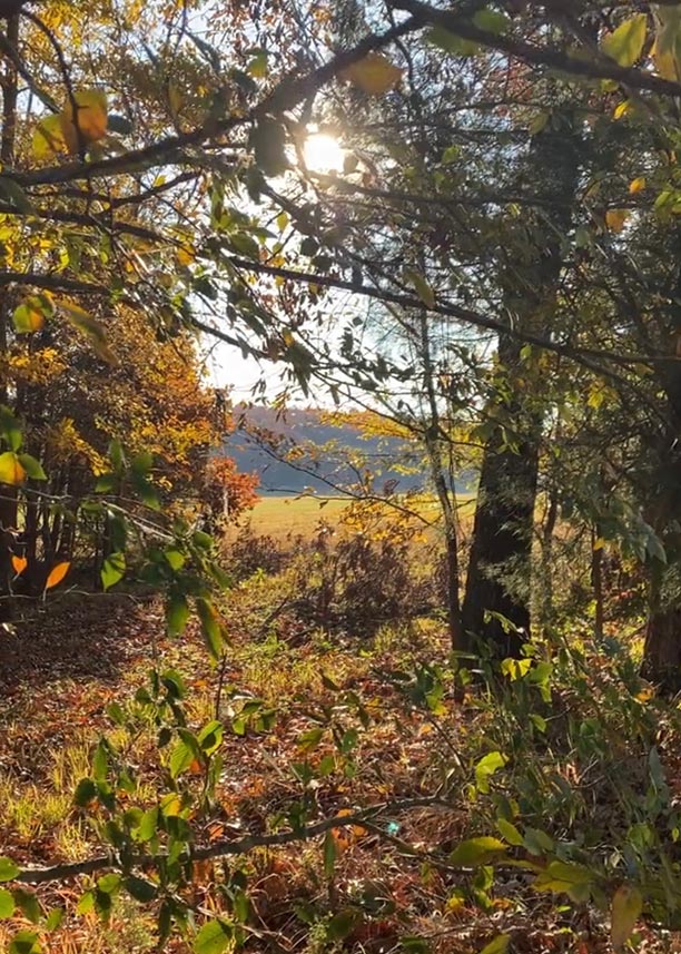 Information – Seven Pines River Resort